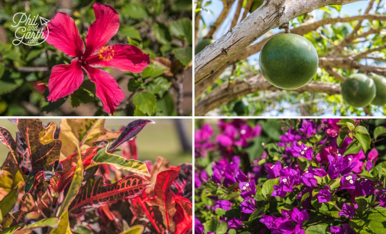 Varadero: Blau Privilege Cayo Libertad Hotel Review - Phil and Garth