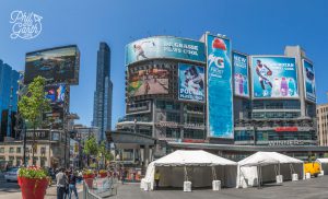 How to see the best of Toronto with a bicycle tour - Phil and Garth