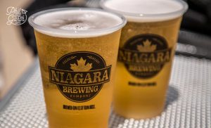 The best day trip tour to Niagara Falls from Toronto - Phil and Garth