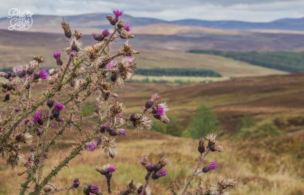 How to see the Scottish Highlands in 7 Days - Phil and Garth