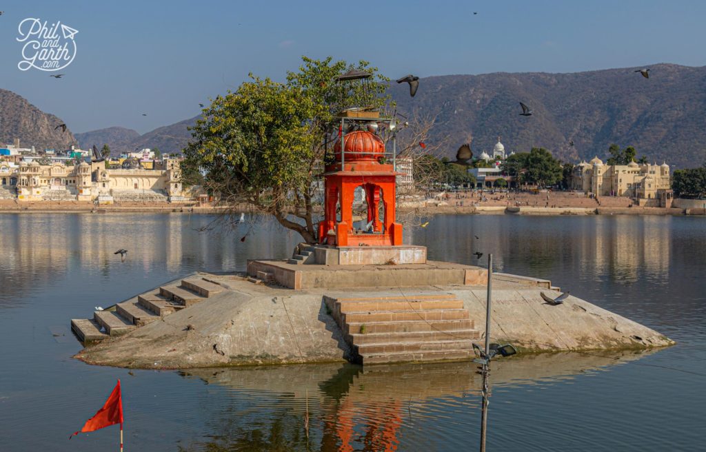 The Best Things To Do In Pushkar, India - Phil and Garth