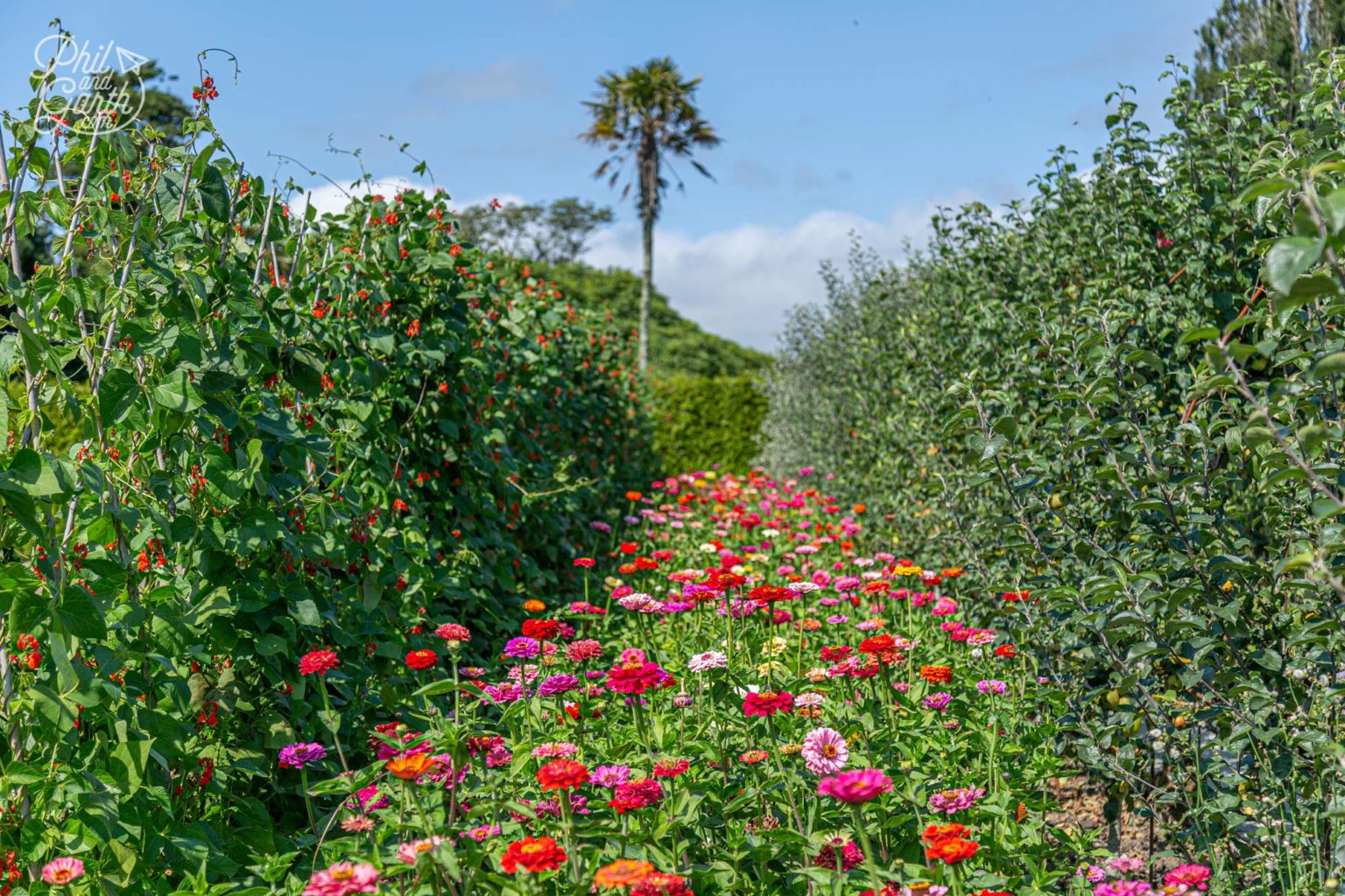 Gardens in Cornwall - A Guide To The Lost Gardens of Heligan - Phil and ...