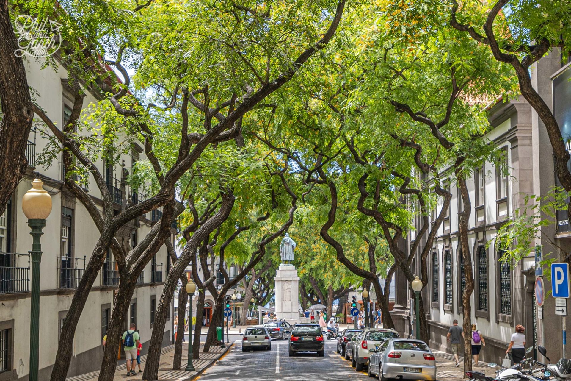 10 Great Things To Do In Funchal, Madeira - Phil and Garth