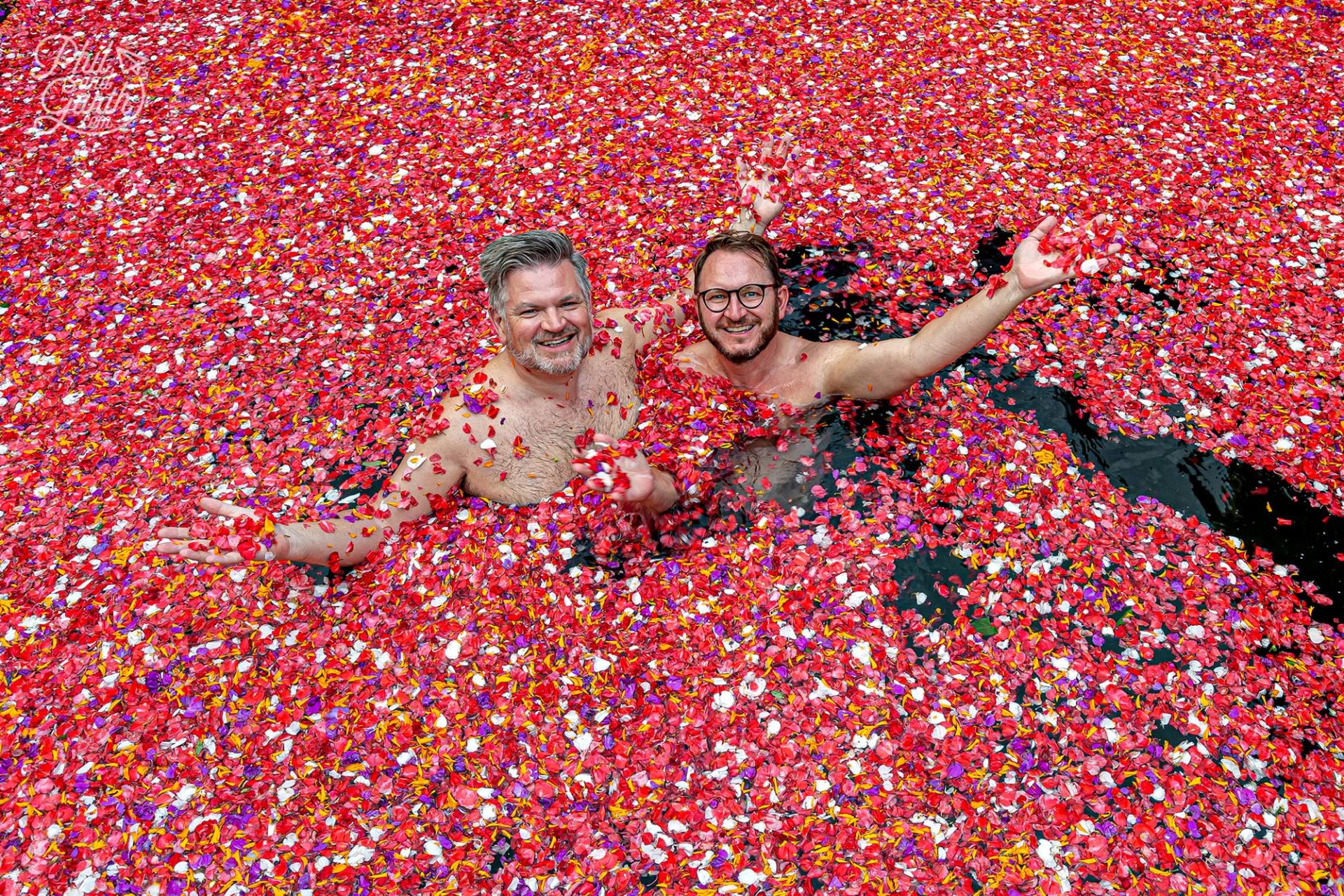 10 Things to know about getting a Bali flower pool - Phil and Garth