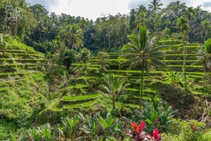 Top 10 Most Beautiful Places In Bali For Photography - Phil and Garth