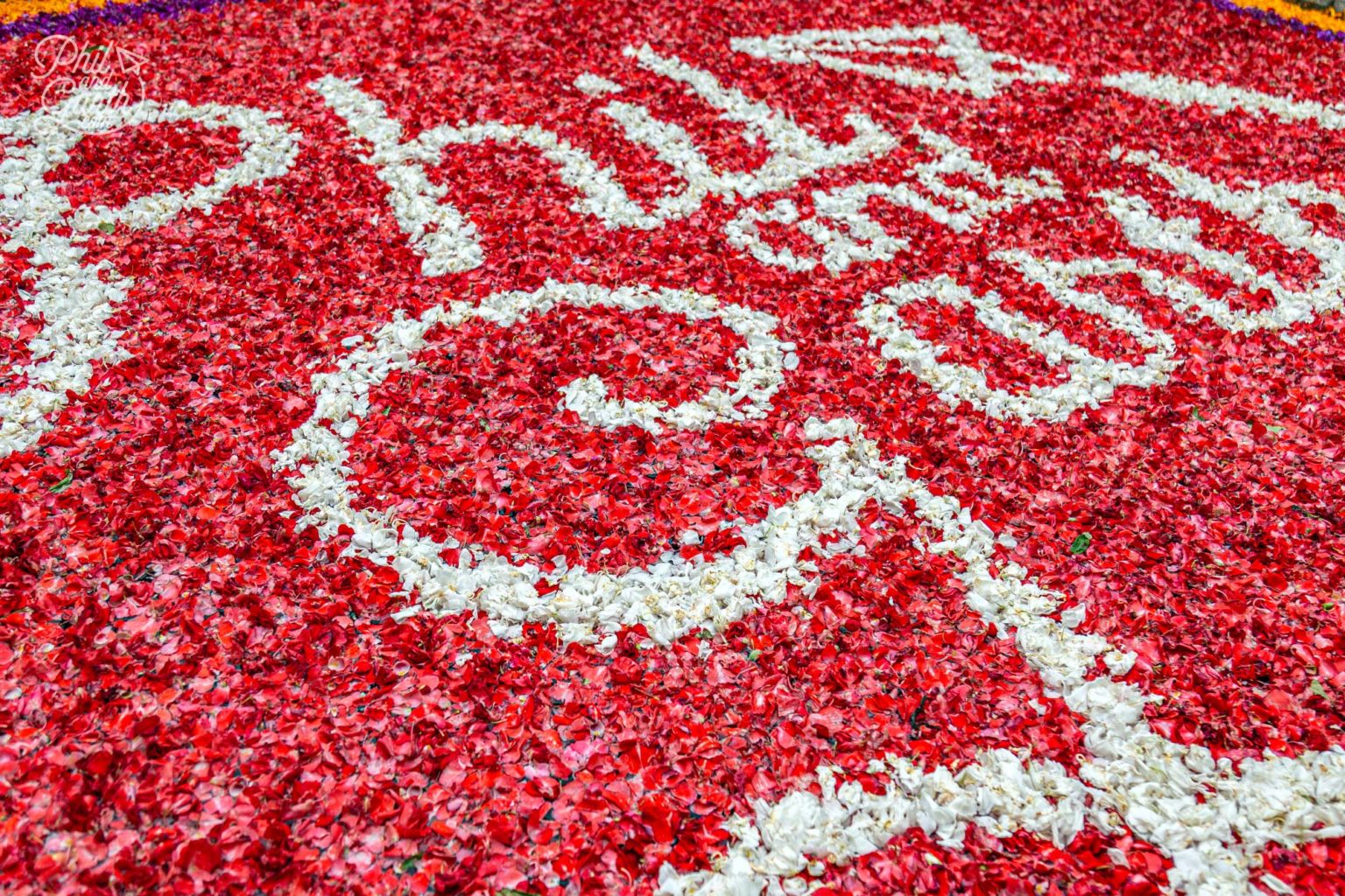 10 Things to know about getting a Bali flower pool - Phil and Garth