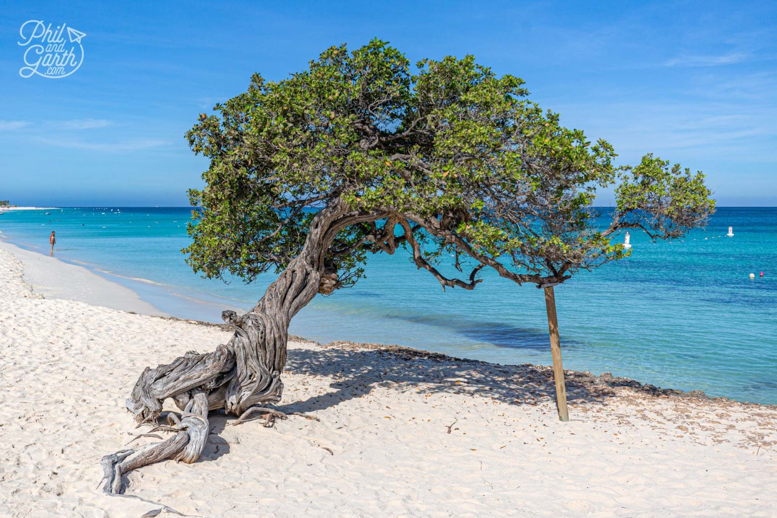 7 Best Aruba Beaches & 2 Best Restaurants - Phil and Garth