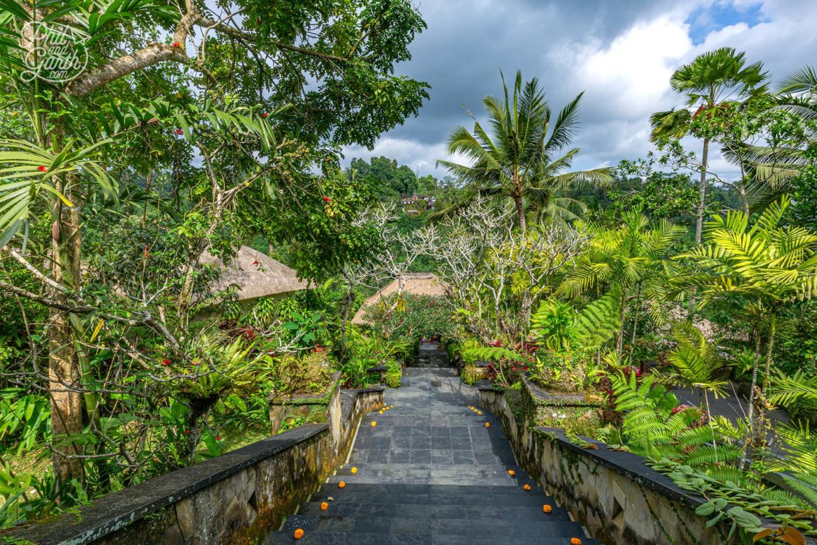 The Hanging Gardens of Bali - Review of Ubud's Jungle Retreat - Phil and Garth