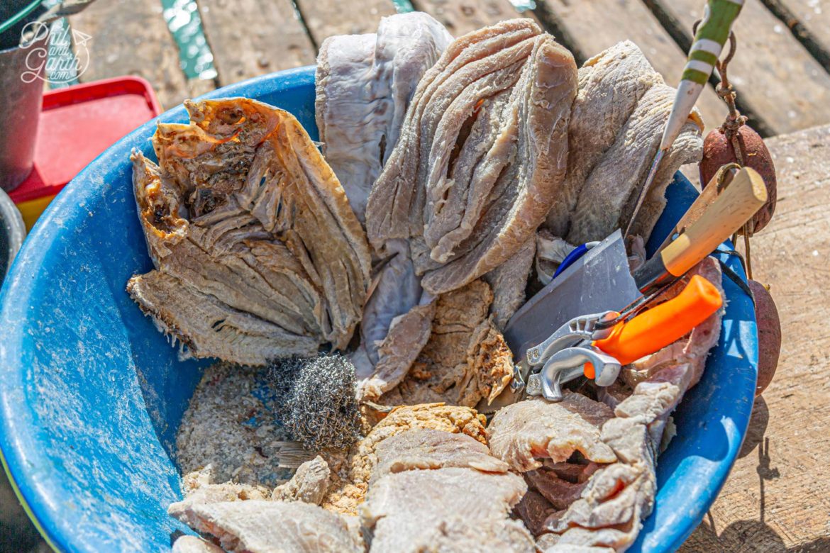 10 Best Things To Do on Sal Cape Verde With A Private Island Tour ...